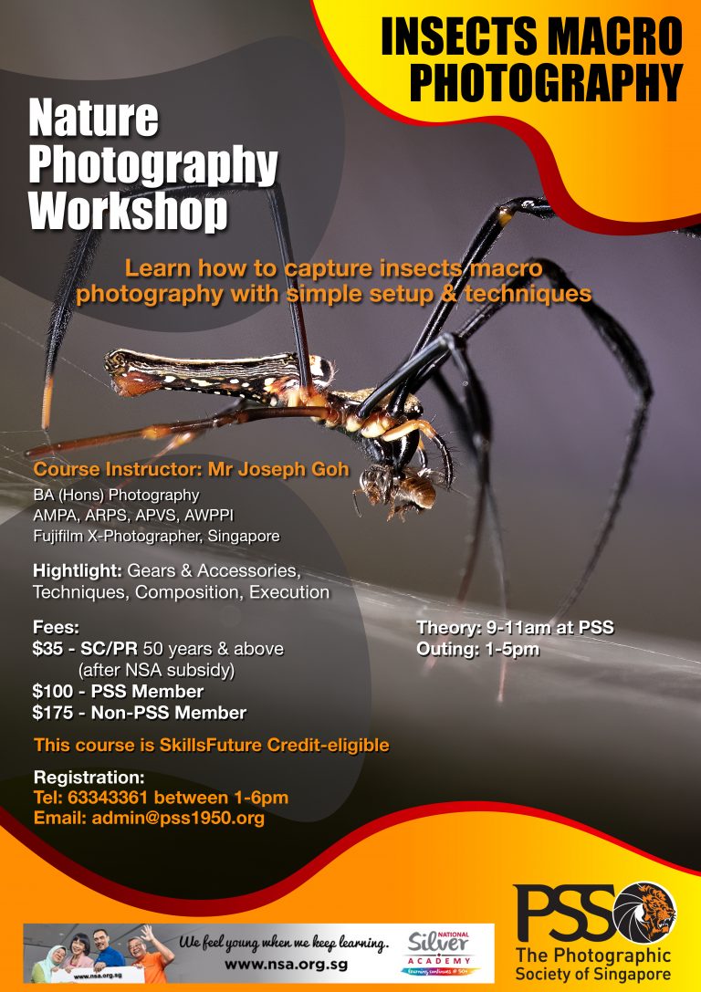 Nature Photography Workshop: Insects Macro Photograph - PSS